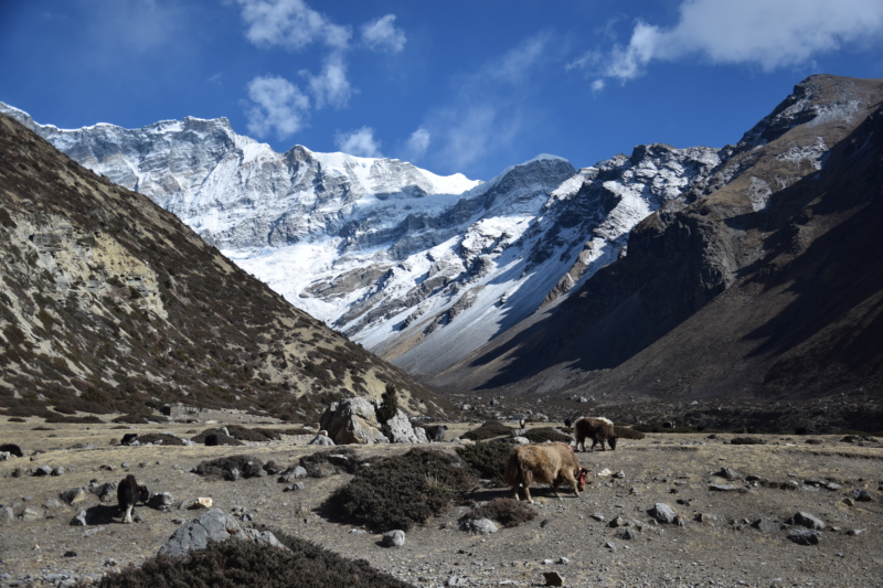 8 - S'acclimater à l'altitude - Autohypnose intégrative